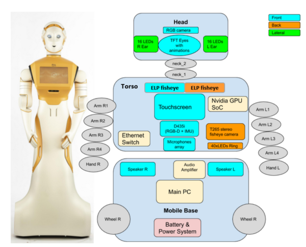 SPRING-ARI robot specifications - SPRING: Socially Pertinent Robots in Gerontological Healthcare